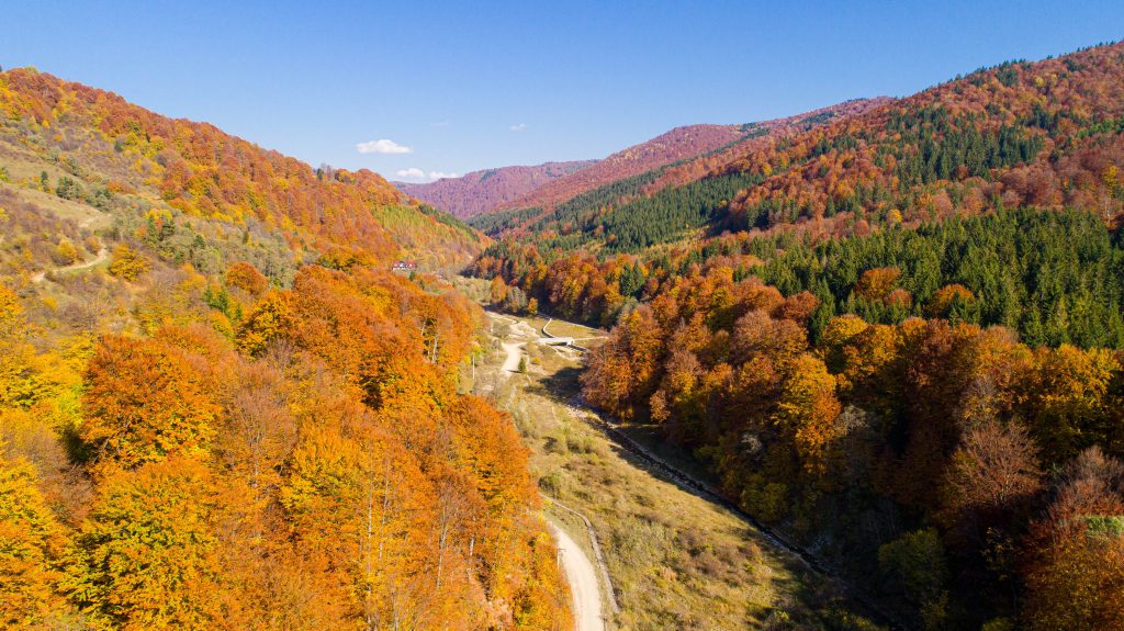Reabilitarea și modernizarea DJ102I, Valea Doftanei, Județul Prahova ...