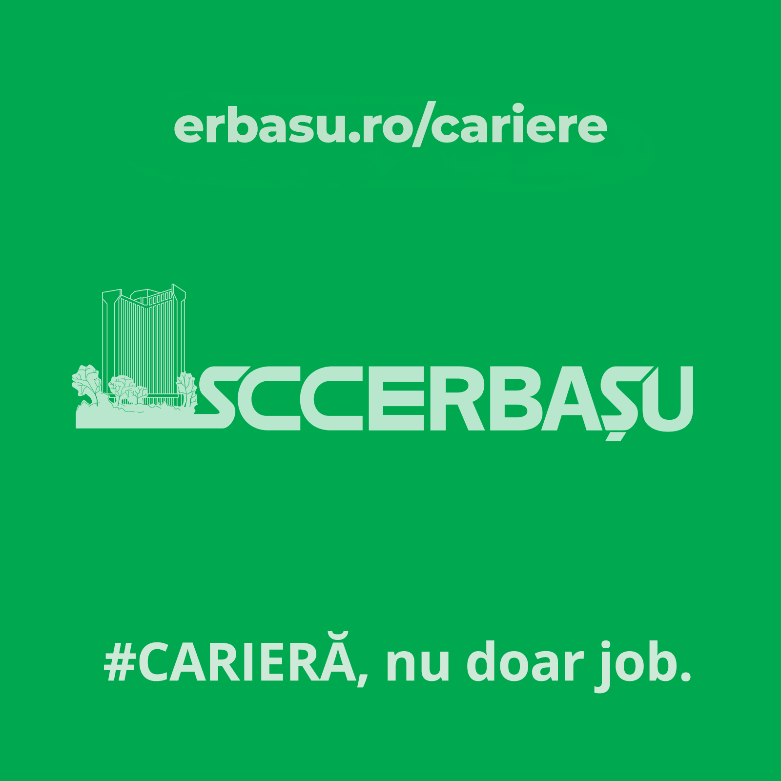 INGINER PROIECTANT STRUCTURI - Construcții Erbașu